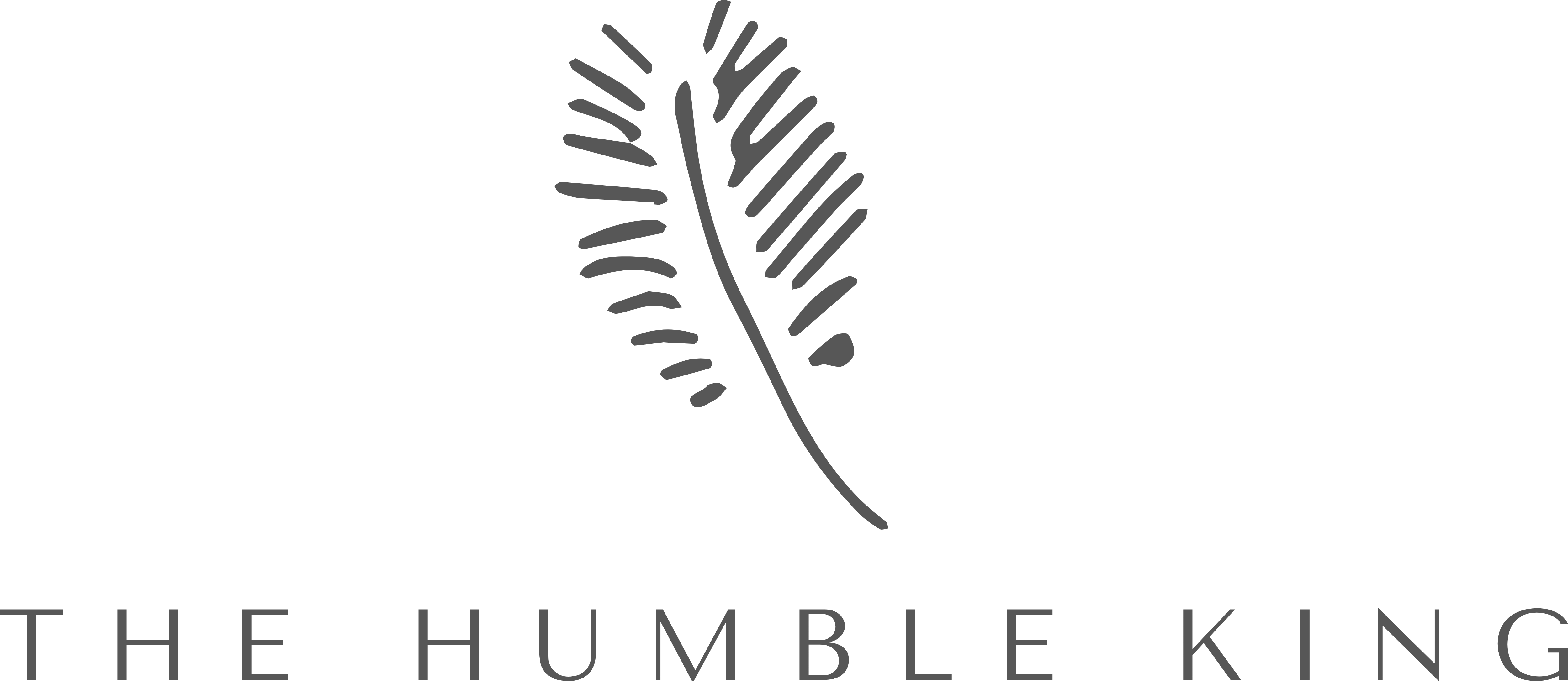 The Humble King store